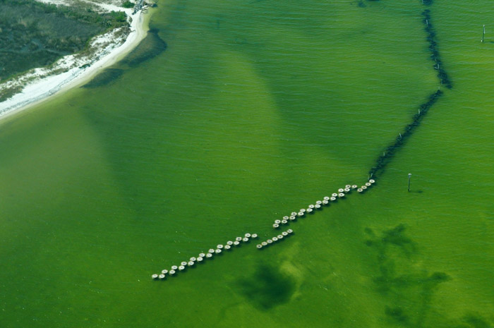 Pearson Sustainable Solutions - Artificial Reefs